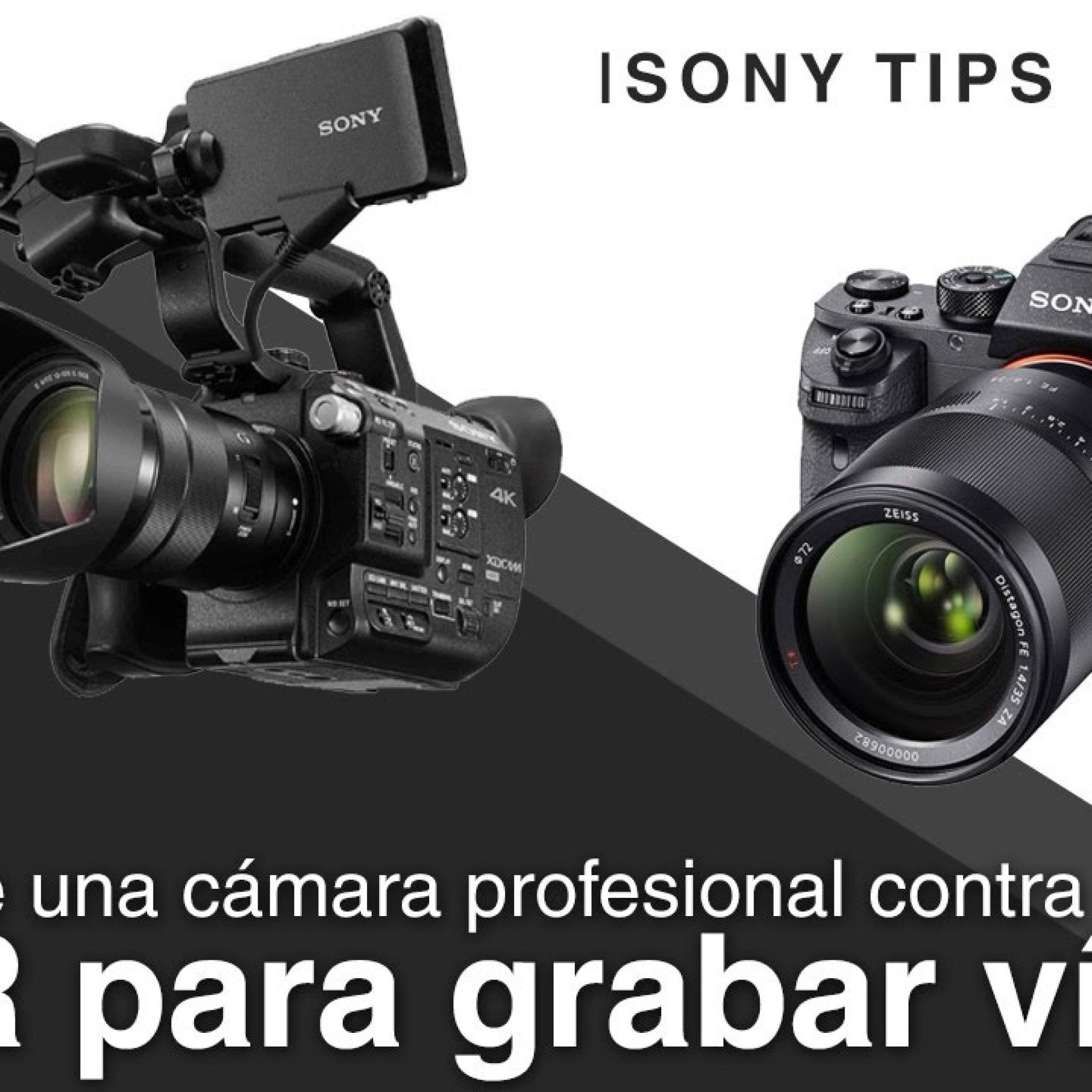 Cómo elegir la Mejor Cámara Profesional para Grabar Películas - Guía ...